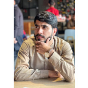 Waheed Muhammad - Director Data Engineering at Aridian Technologies LLC